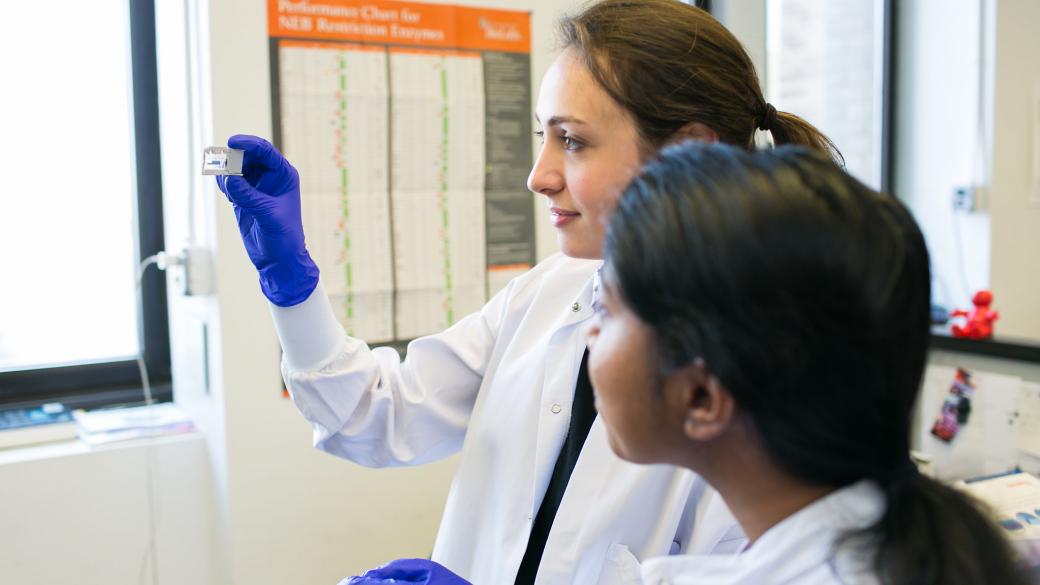 Research | Infectious Diseases