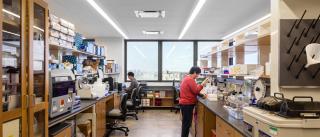 Hospital Epidemiology and Infection Prevention | Infectious Diseases